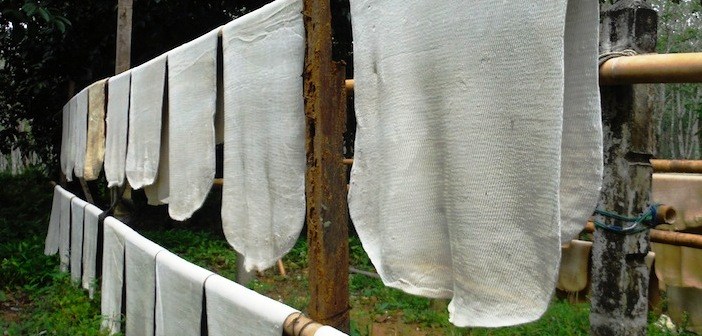 Natural Rubber – Anjali Sales Corporation